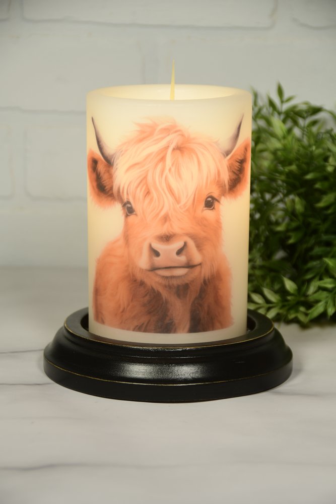 Beau Highland Cow LastingLite – The LastingLite Emporium