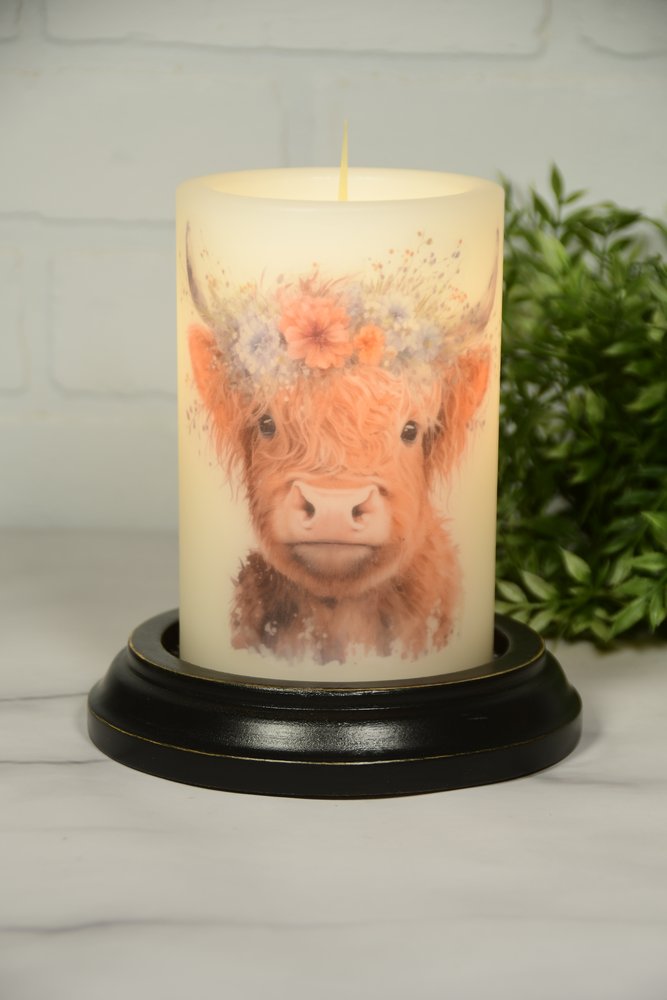 Poppy Highland Cow – The LastingLite Emporium