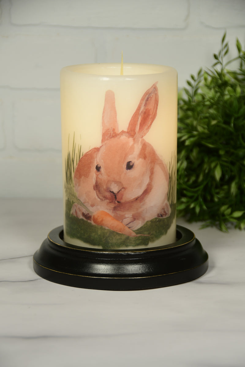 Peter Rabbit Carrot LastingLite – The LastingLite Emporium
