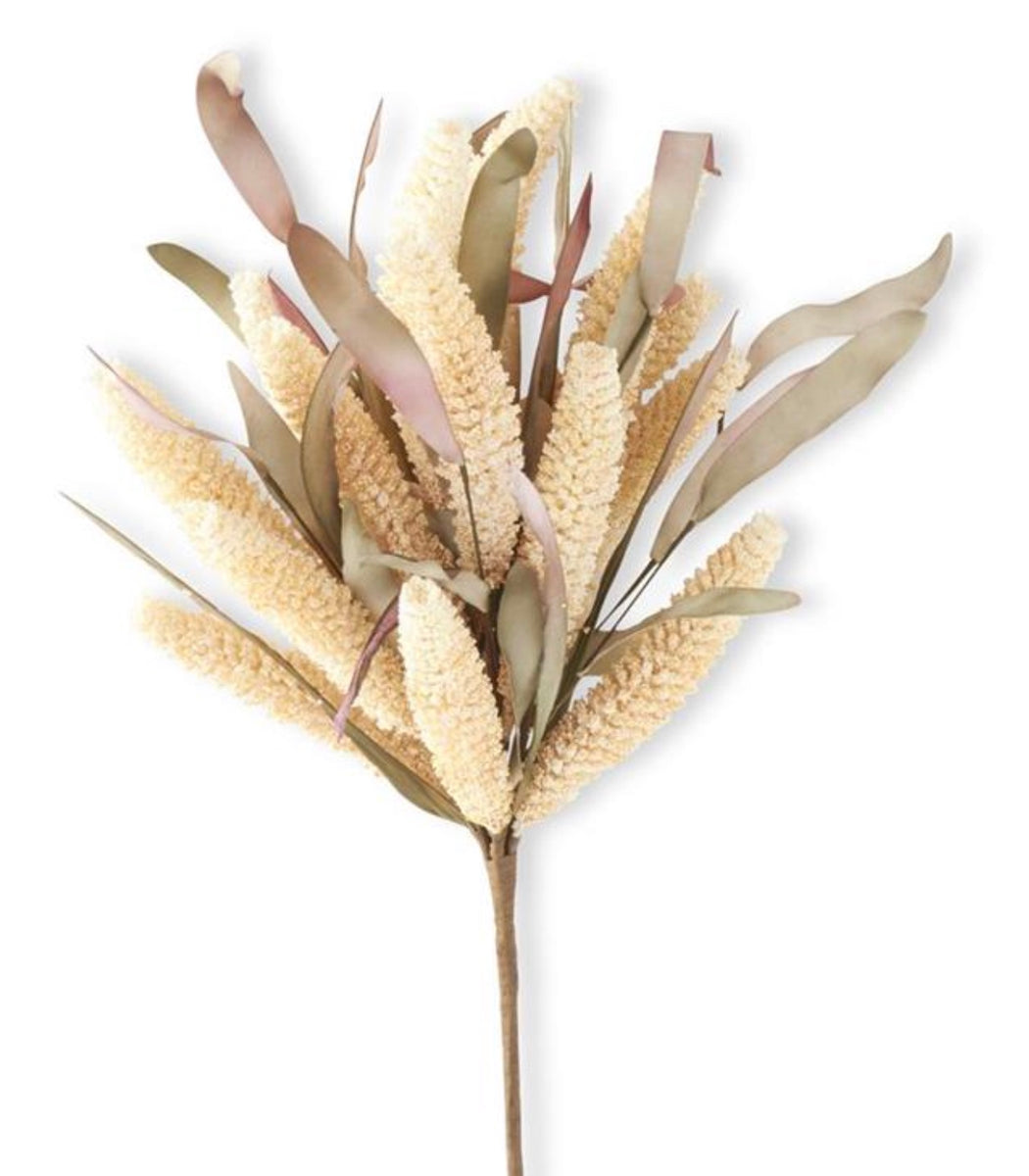 Cream Rice Bush – The LastingLite Emporium